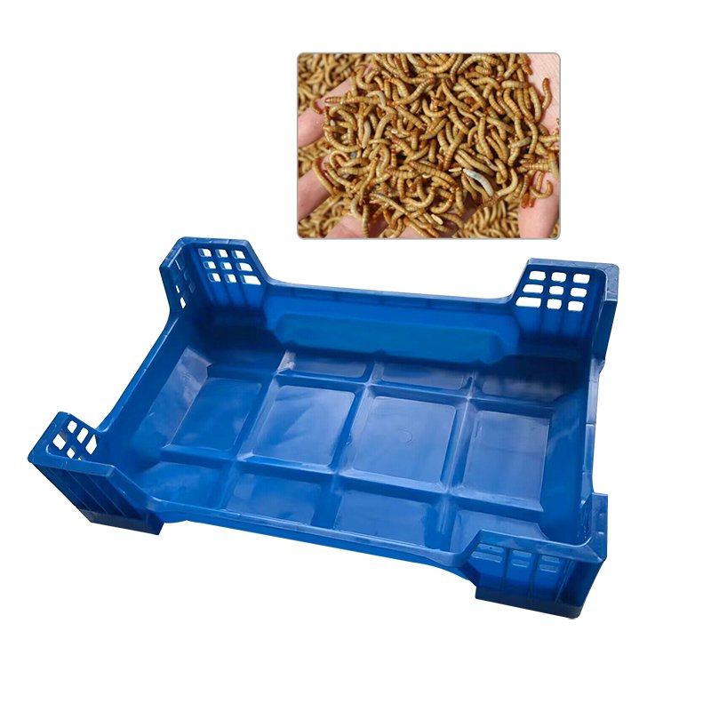 Stackable Bsf Black Soldier Fly Production Mealworm Plastic Insect ...